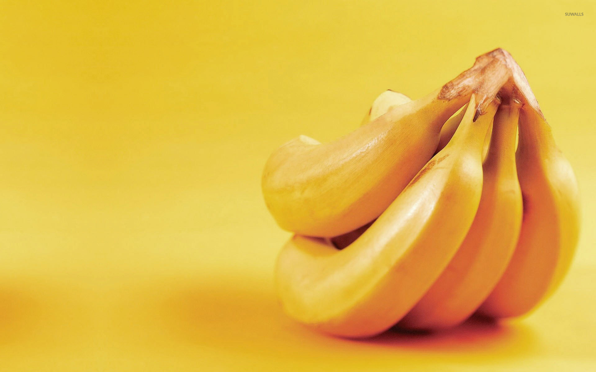 Razones para comerse una banana diaria - Jacquie Marquez Blog Oficial Razones para comerse una banana diaria - Jacquie Marquez Blog Oficial
